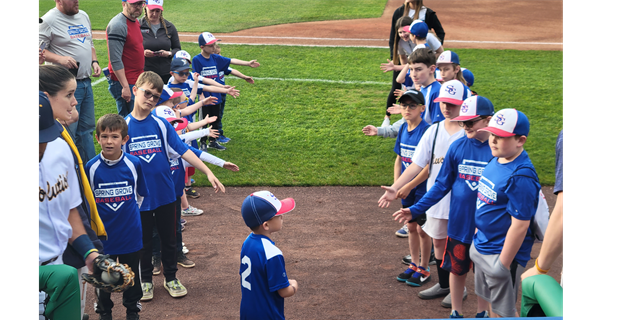Spring Grove Baseball Association > Home