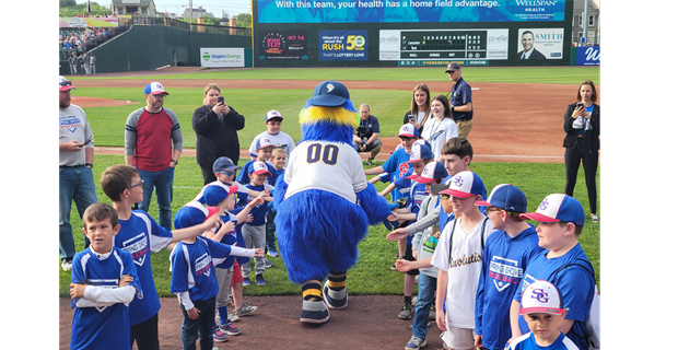 Spring Grove Baseball Association > Home